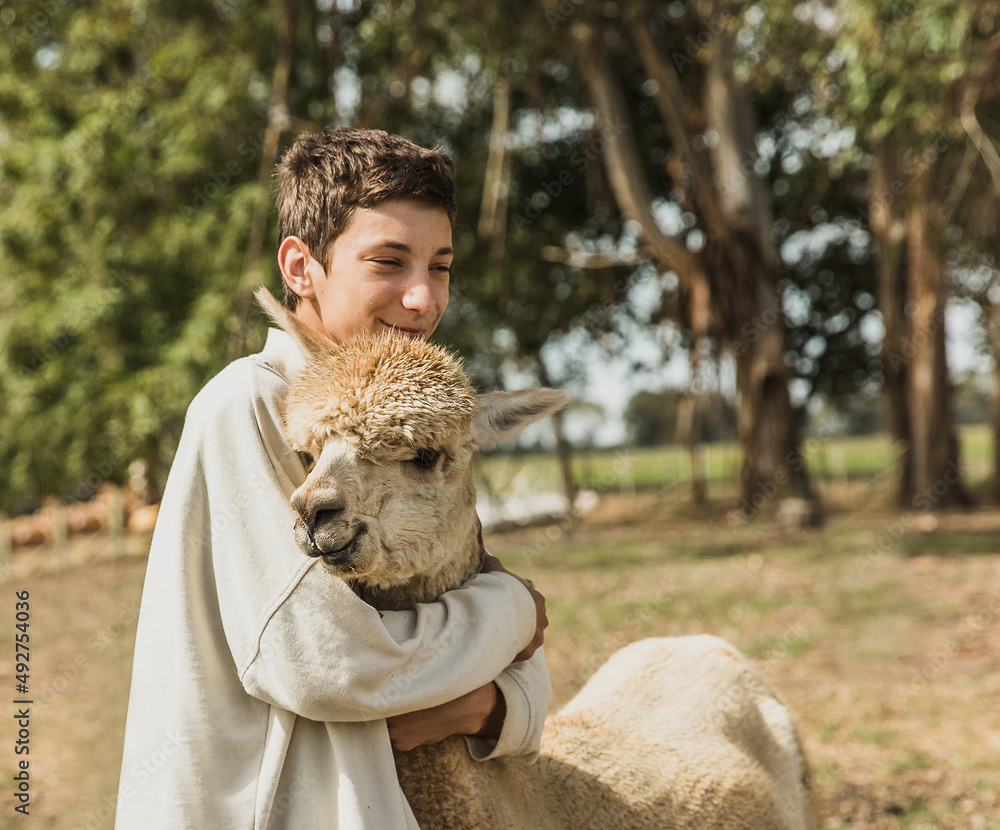 teenager boy playing with an alpaca on natural background, llama on a ...