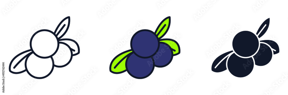 acai berry icon symbol template for graphic and web design collection ...