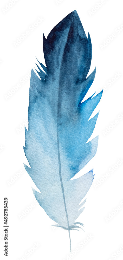 Watercolor blue feather, Bohemian element illustration isolated Stock ...