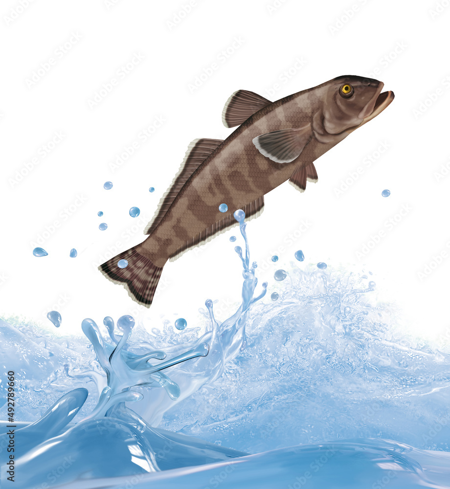 Ilustracja Stock: poisson, légine d'australe , animal, isolé, bulle ...