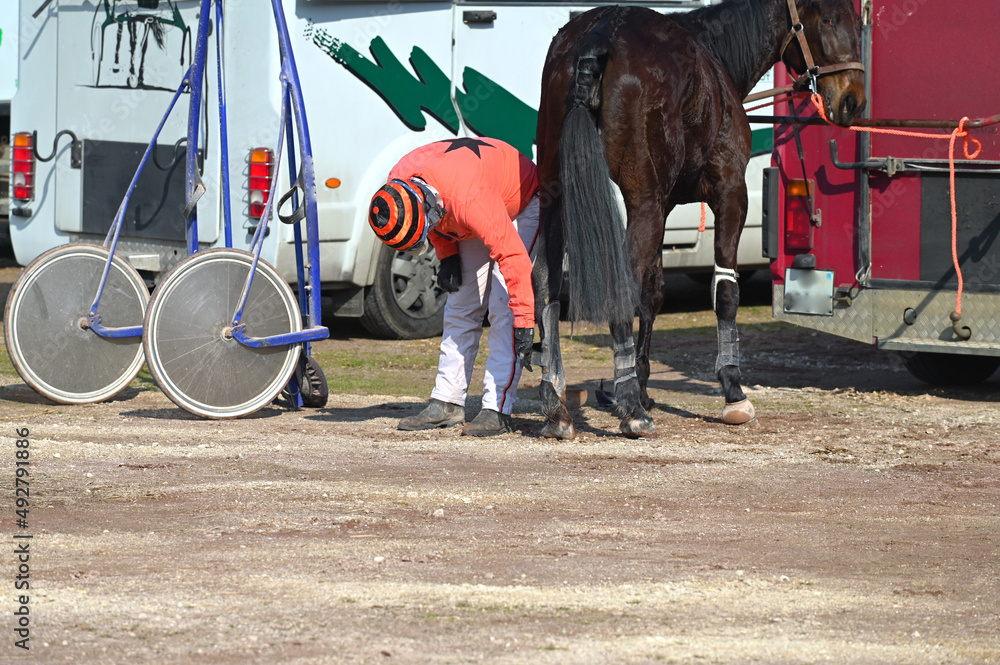 soigneur et son cheval de course après la compétition Stock Photo ...