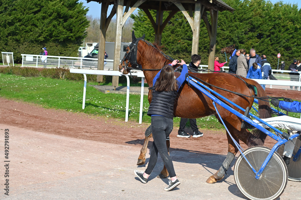 cheval de course avec sulky et soigneur Stock Photo | Adobe Stock
