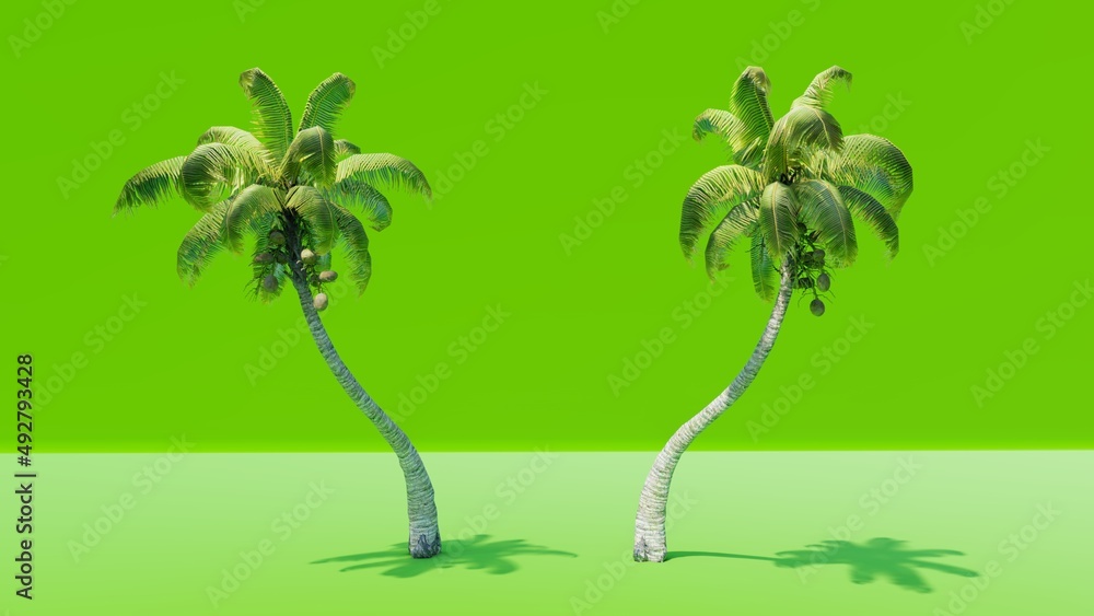 Palm tree beach on green screen Chromakey. 3d rendering. 7680x4320 ...