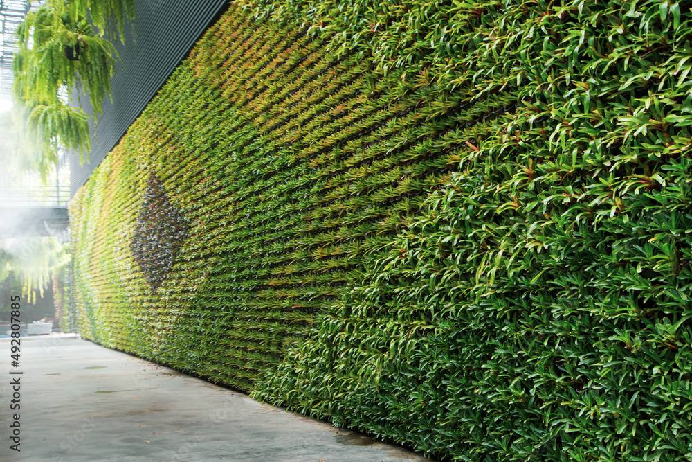 Green wall vertical garden friendly green nature eco friendly design ...