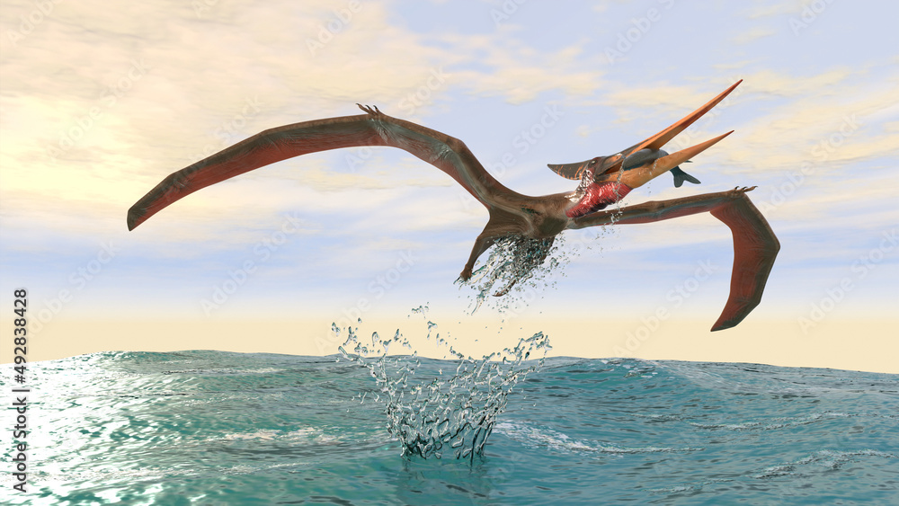Pteranodon catching a fish Stock イラスト | Adobe Stock