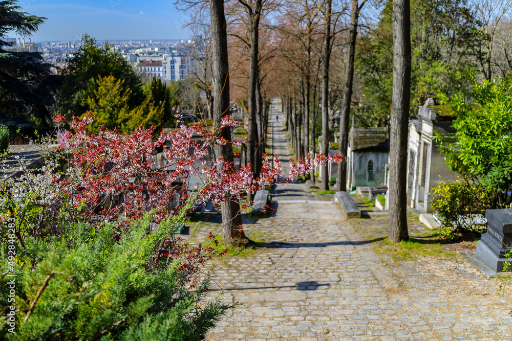 famous cemetery and graveyard in Paris, France , Père Lachaise ...