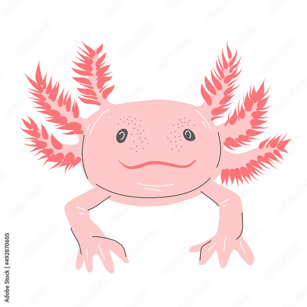 Cute axolotl cartoon vector illustration Stock Vector | Adobe Stock