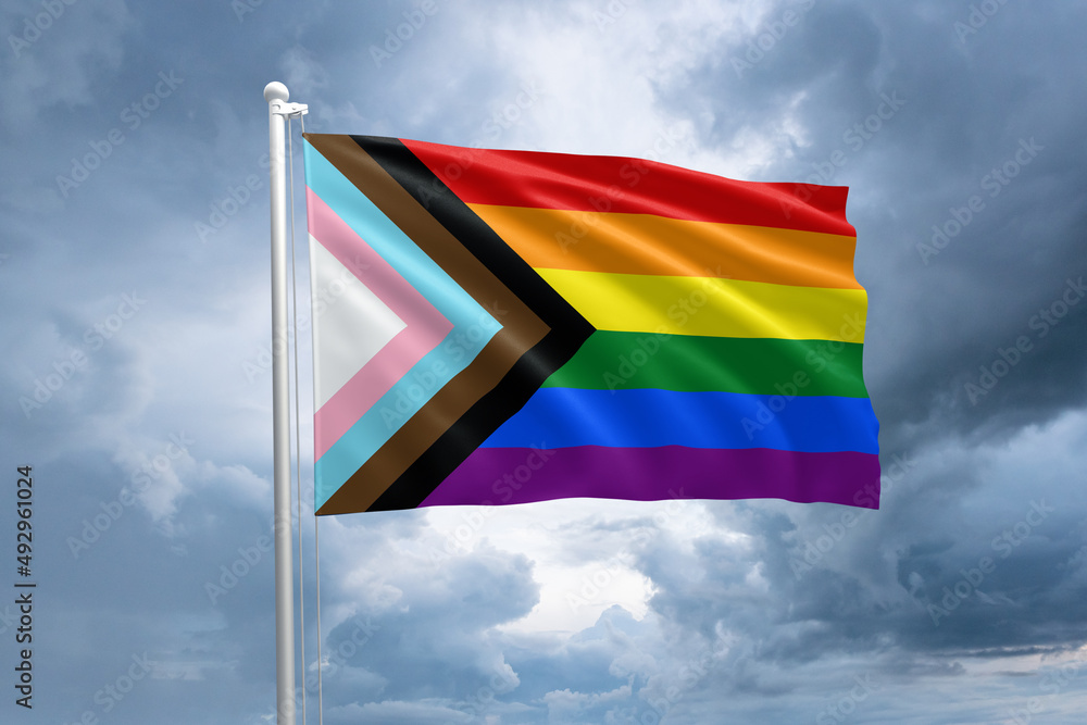 LGBTQIA+ Progress pride flag. Progress flag symbol in the lgbt ...