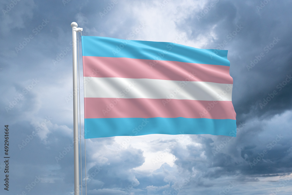 LGBTQIA+ Transgender pride flag. Transgender flag symbol in the lgbt ...