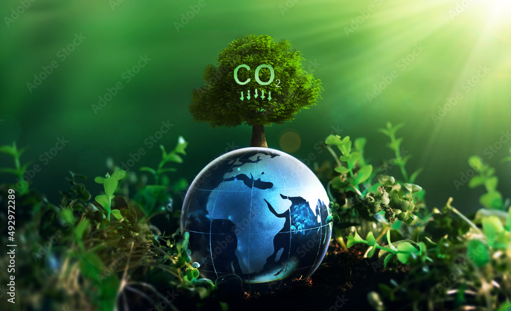 Reduce CO2 emission concept. Renewable energy-based green businesses ...