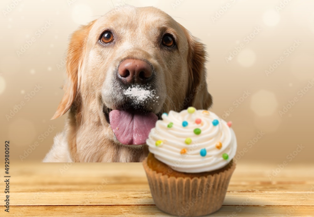 Puppy Eating Cupcake