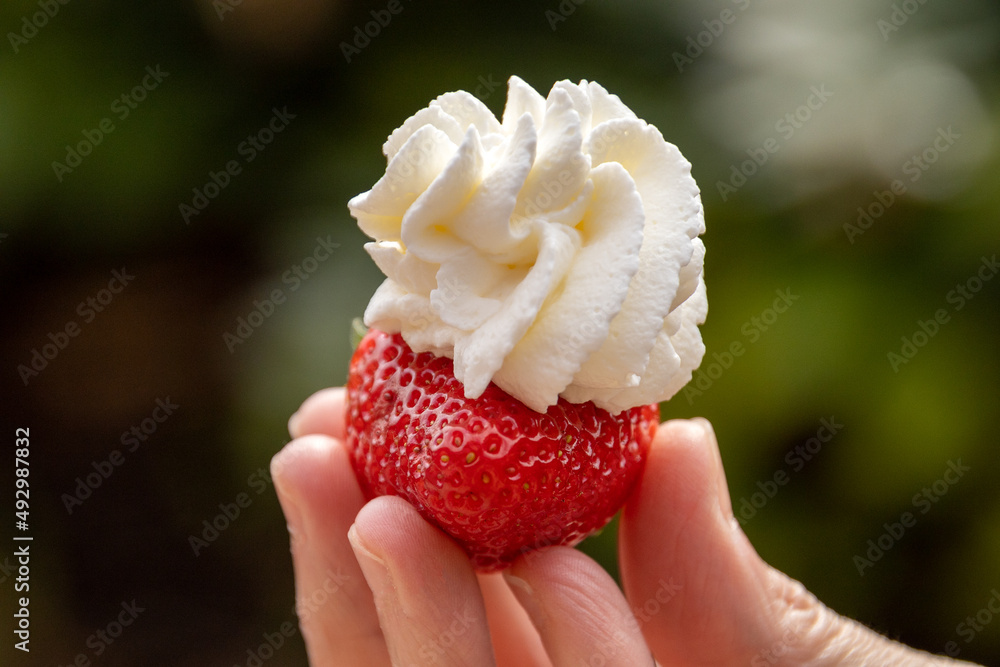 Whipped Person