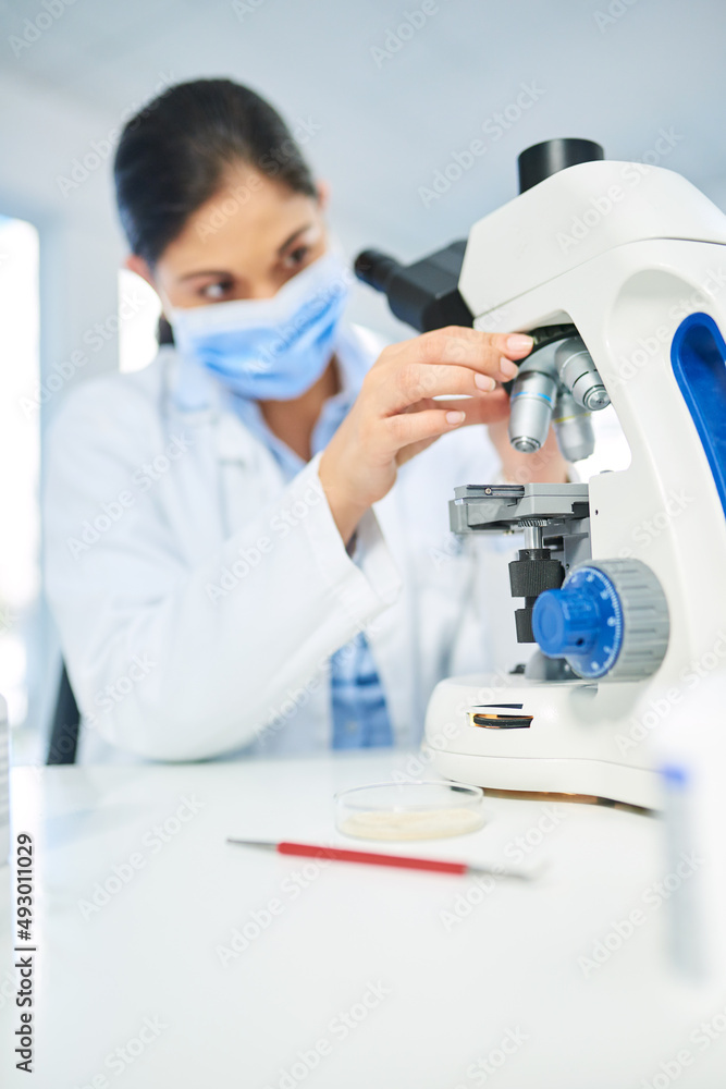 Zooming in to the sample. Shot of a young scientist using a microscope ...