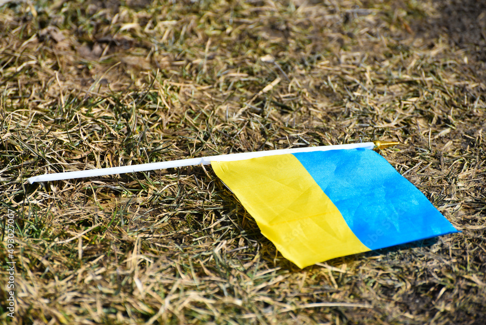 Flag of Ukraine on the ground ,national blue and yellow flag photo ...