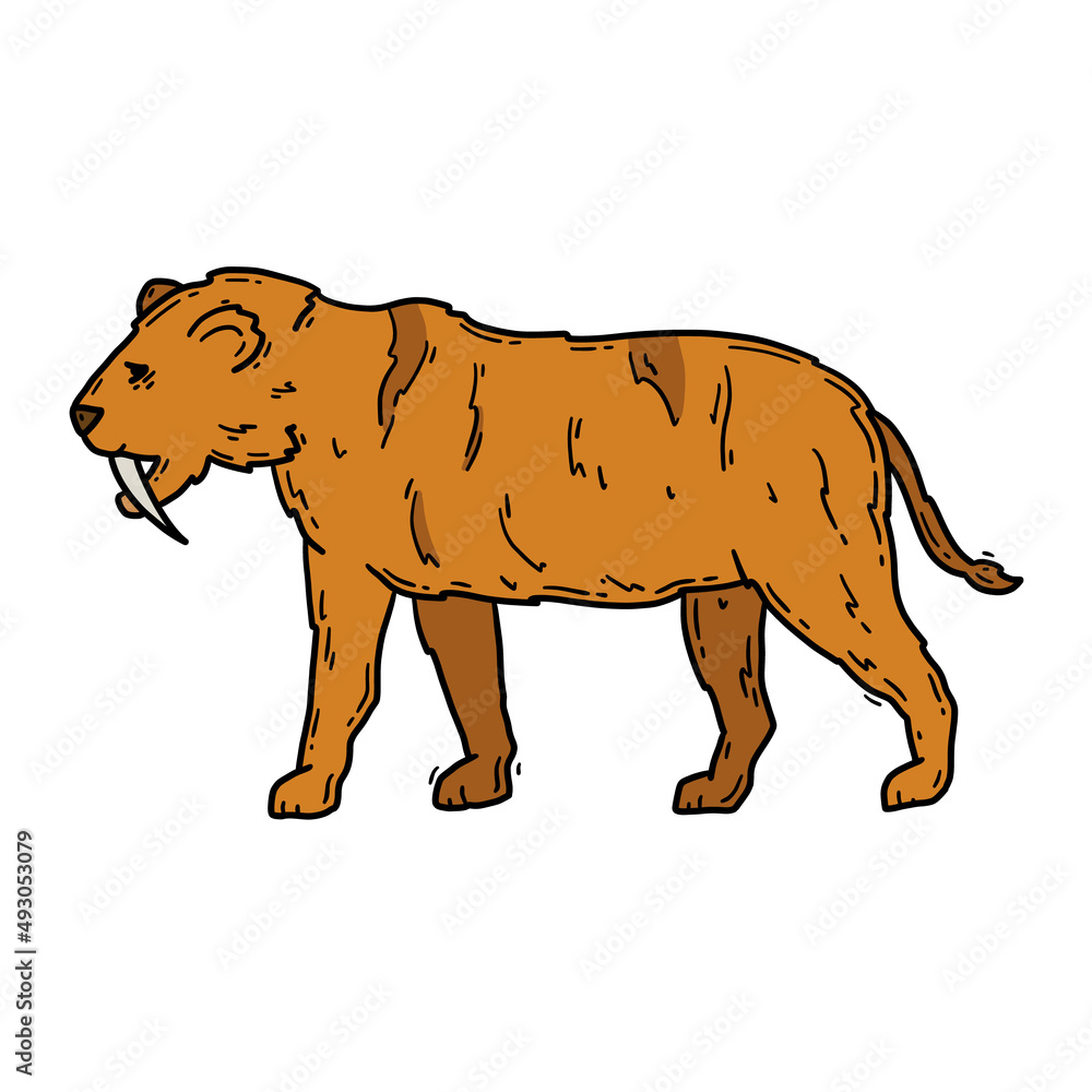 Vetor de Saber-toothed tiger Machairodontinae prehistoric animal ...