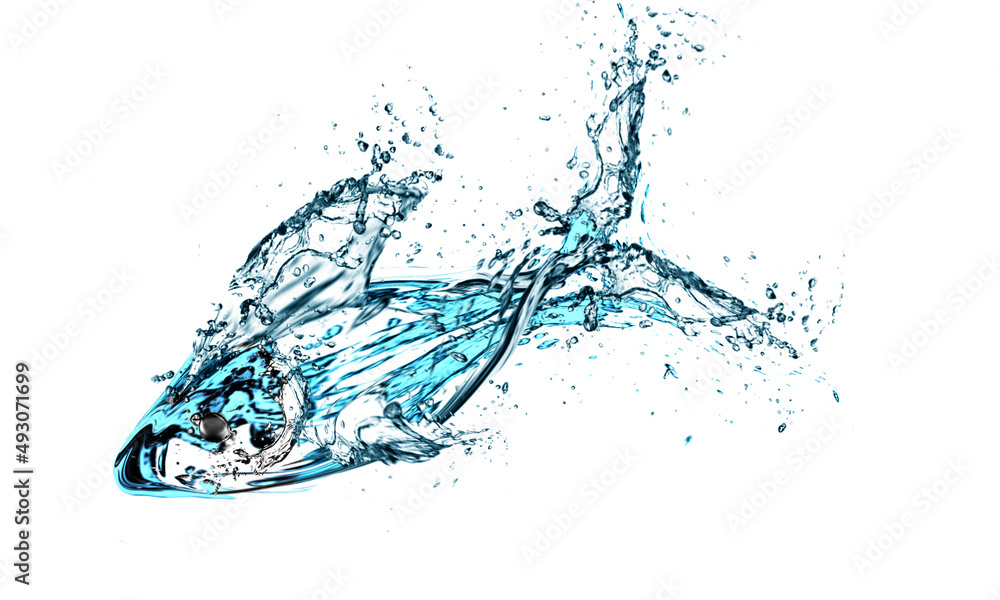 water splash fish isolated on white background Stock Illustration ...