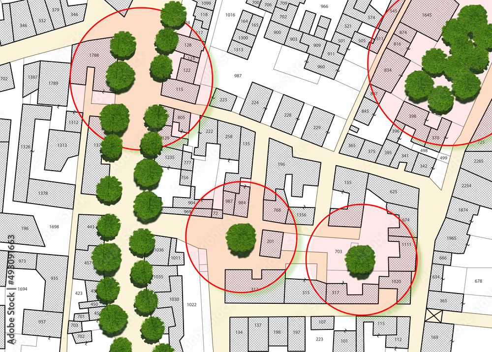 Census of singol, group or row trees in cities - green management and ...