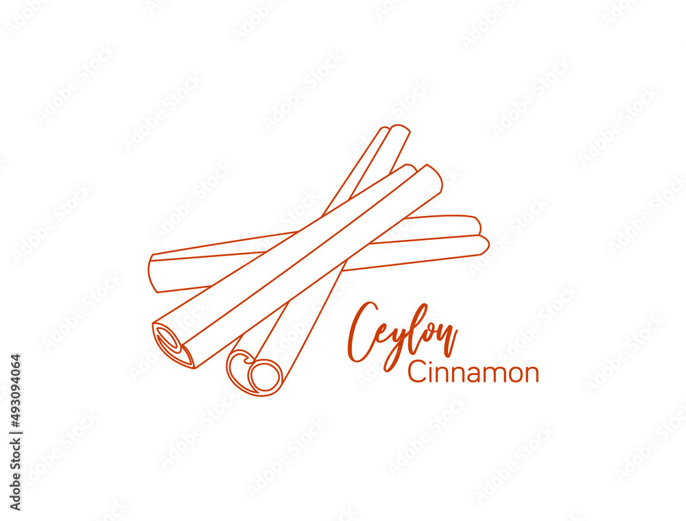 Cinnamon Sticks Vector