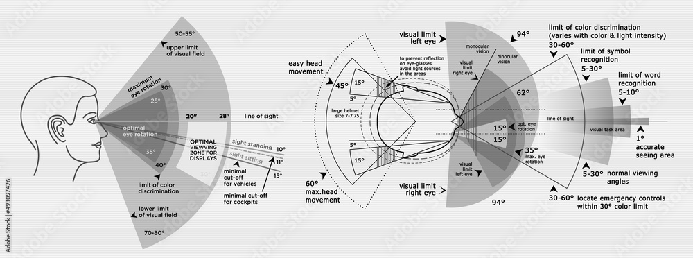 Ergonomics optimal angle view. Human sight range. Stock Vector | Adobe ...