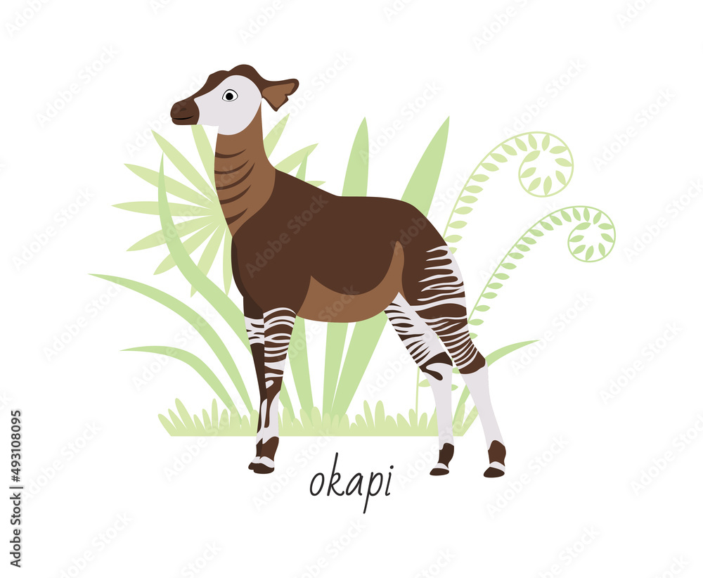 Animal okapi isolated on white background. Tropical plants. Vector flat ...