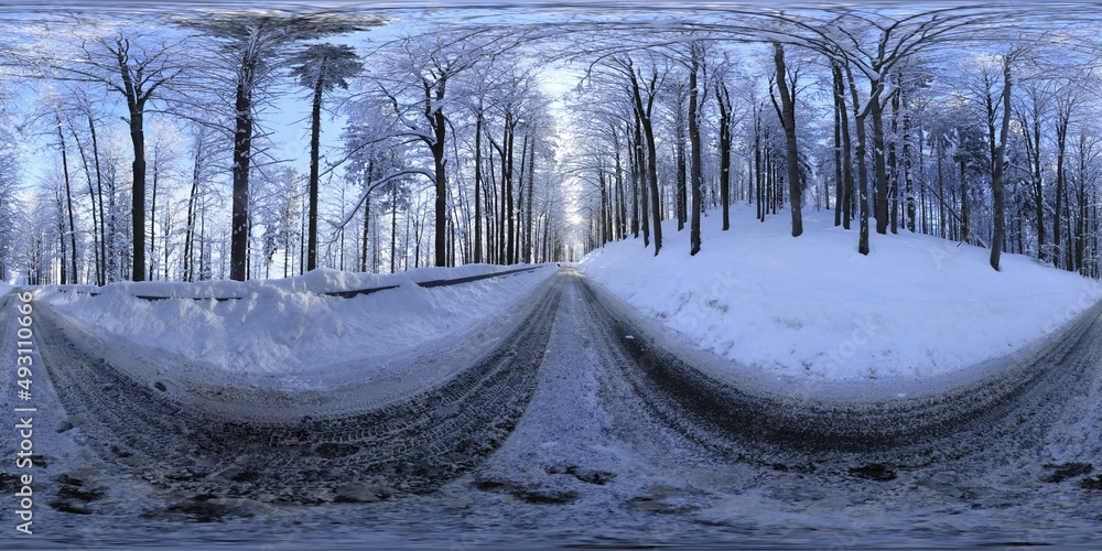 Winter road in the forest covered with snow, HDRI Panorama Stock Photo ...