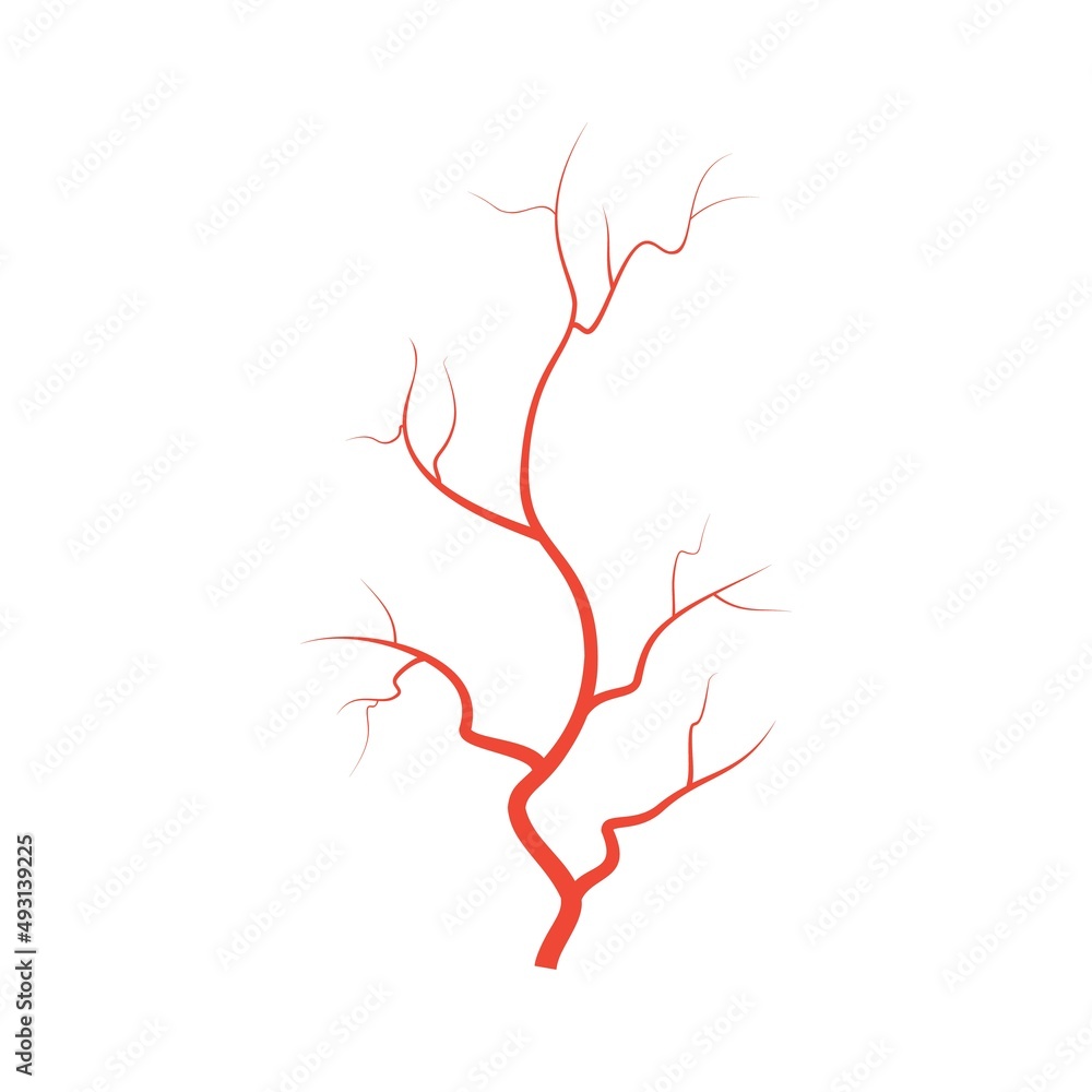 Human red eye veins, anatomy blood vessel arteries illustration. Vector ...