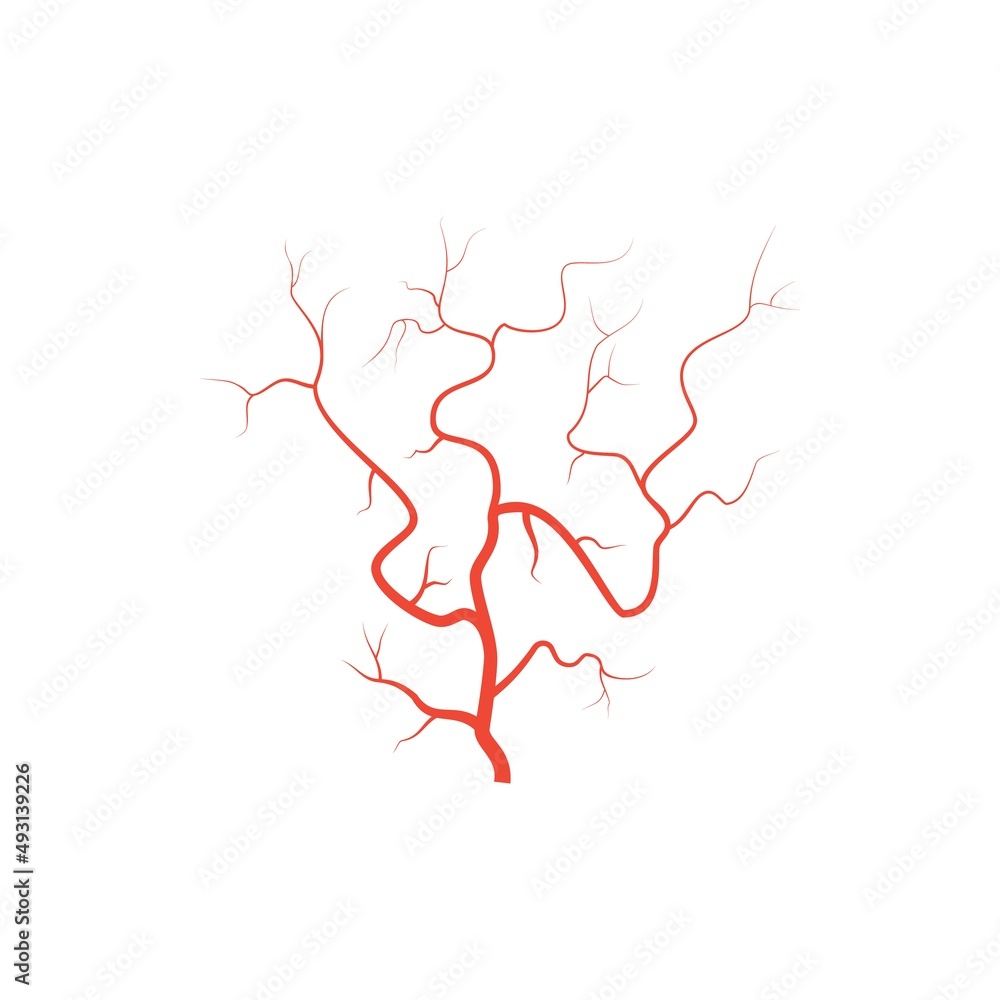 Human red eye veins, anatomy blood vessel arteries illustration. Vector ...