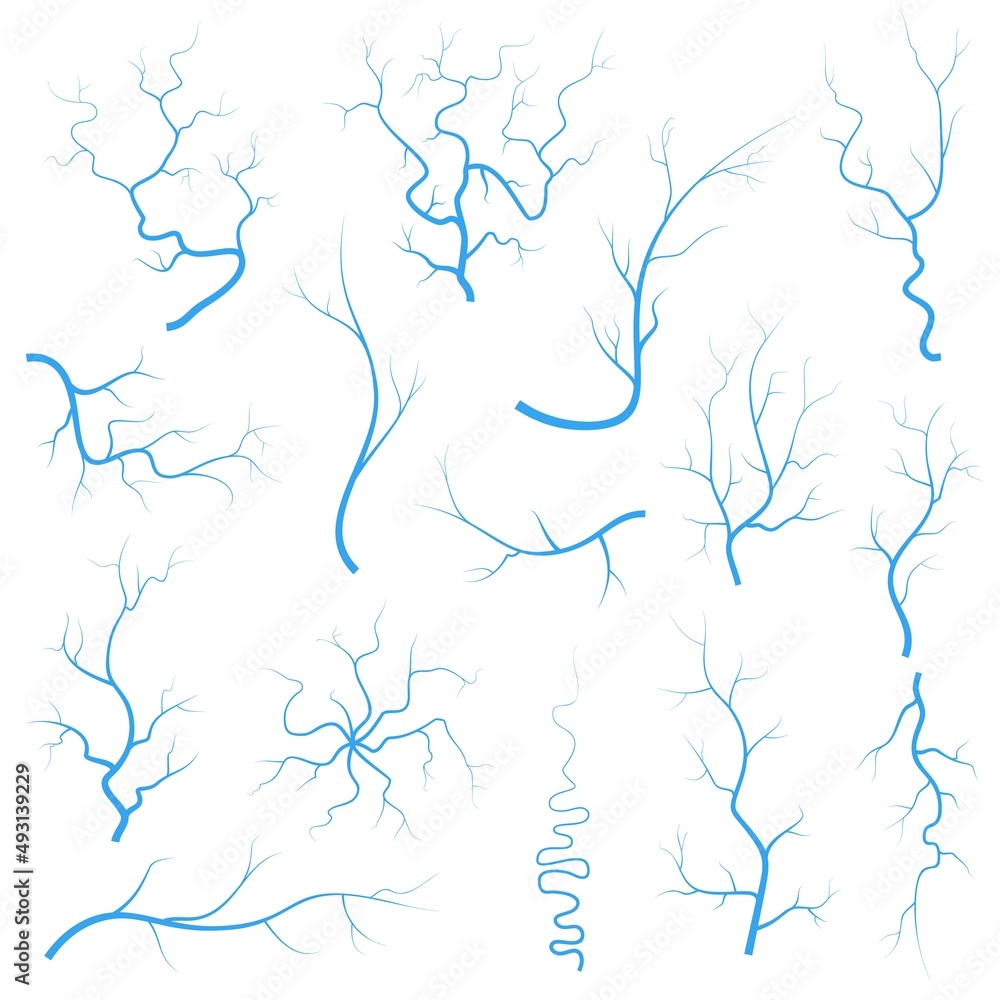 Human blue eye veins, anatomy blood vessel arteries illustration ...