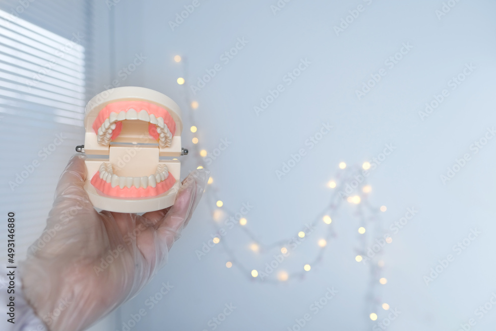 close-up of female hands, doctor dentist holds model of the human jaw ...