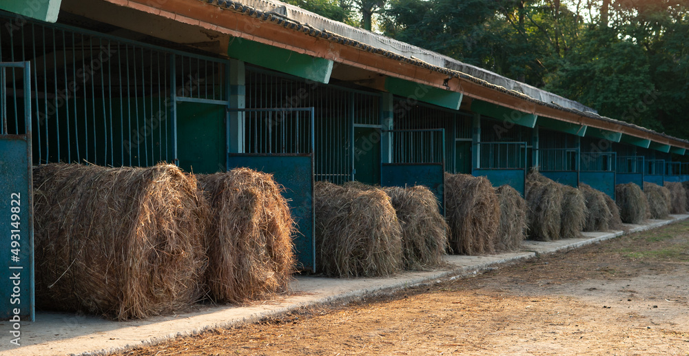 large round bales of hay sitting outside of horse stalls of blue barn ...
