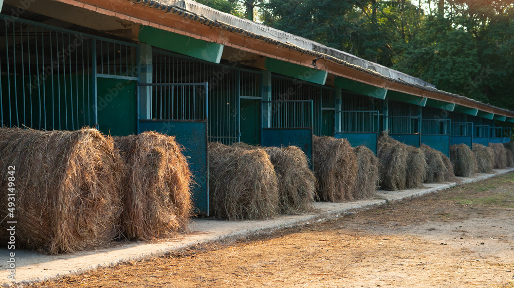 large round bales of hay sitting outside of horse stalls of blue barn ...