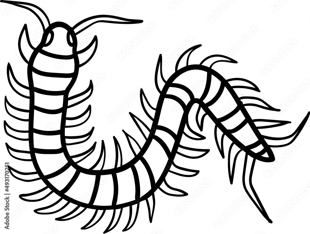 Centipede cartoon drawing for coloring book Stock 벡터 | Adobe Stock