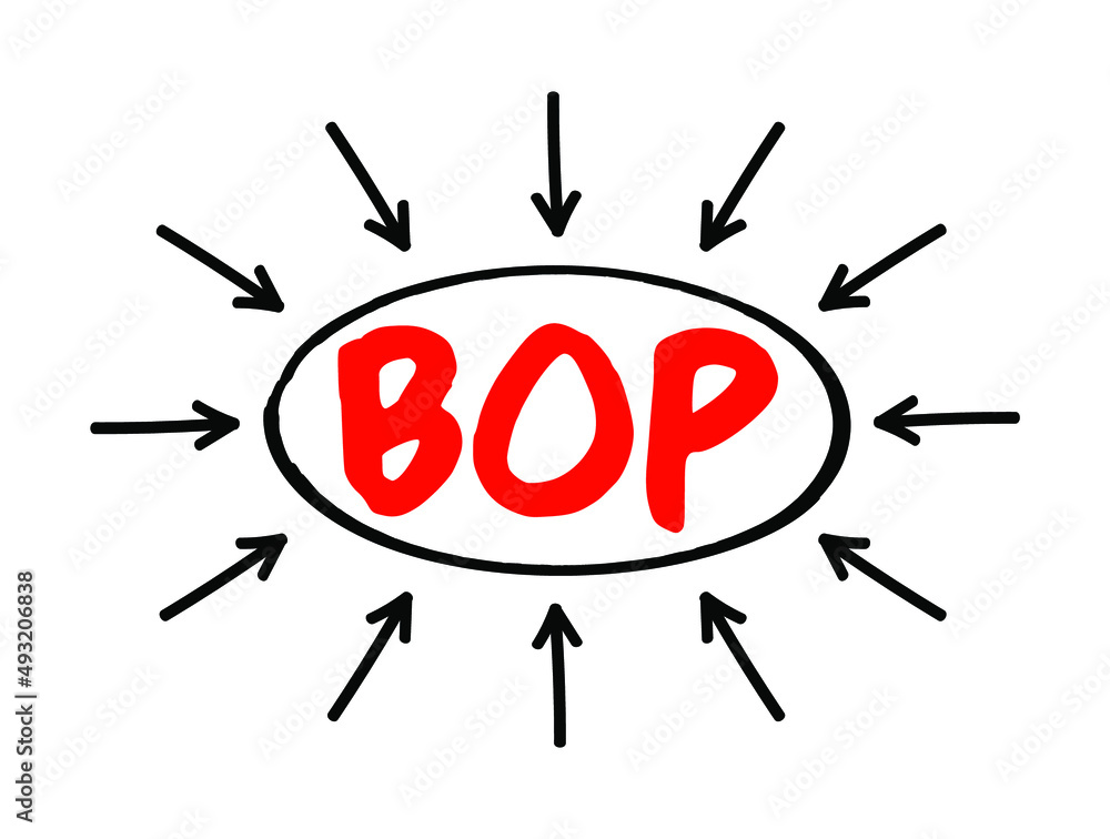 BOP Bottom Of the Pyramid - the largest, but poorest socio-economic ...