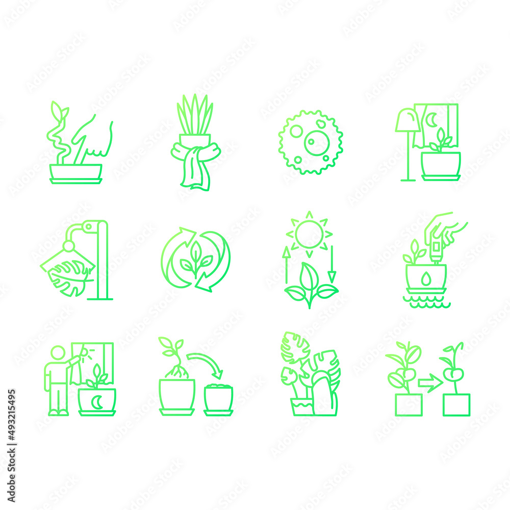 Caring for houseplants gradient gradient linear vector icons set. Potted plants growing. Correct ...