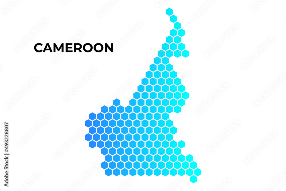 Cameroon map digital hexagon shape on white background vector ...