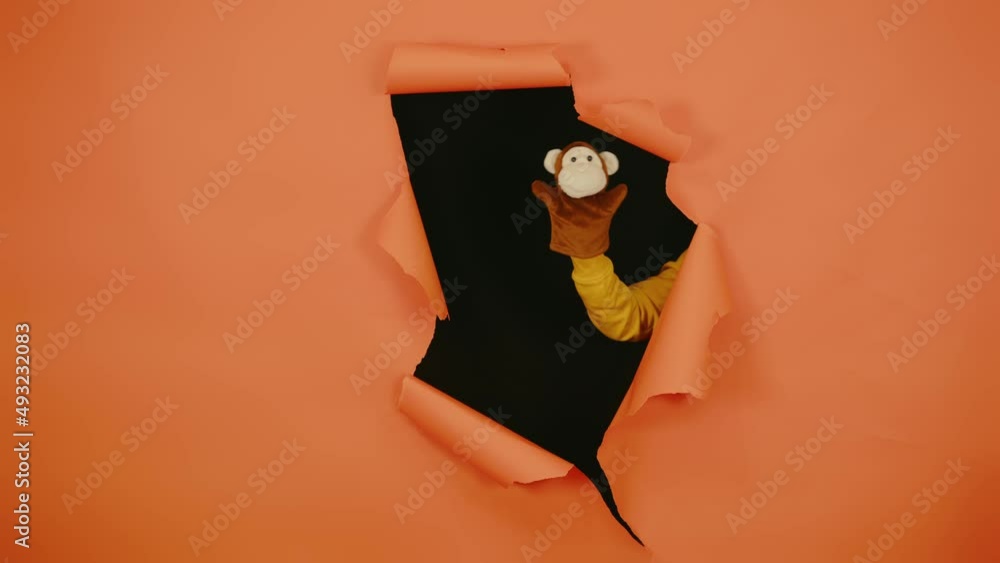 Soft puppet toy on hand sticking out of hole of orange background ...