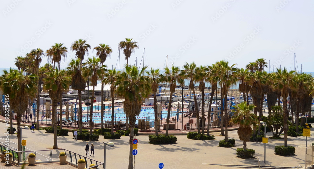 Tel Aviv embankment. Swimming pool surrounded by palm trees and marina ...