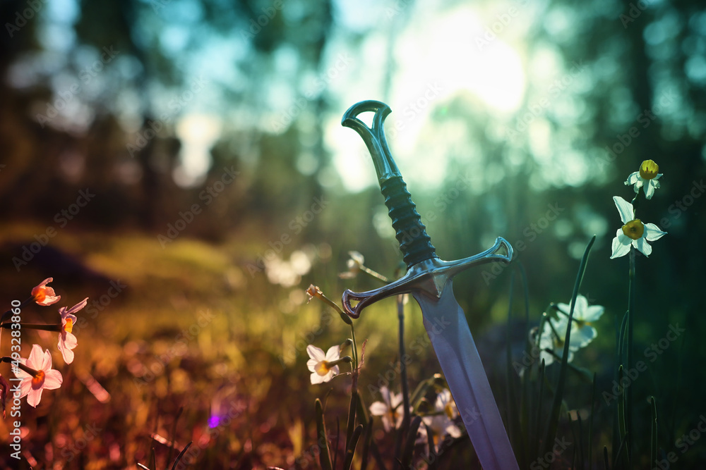 mysterious and magical photo of silver sword in the England woods and ...