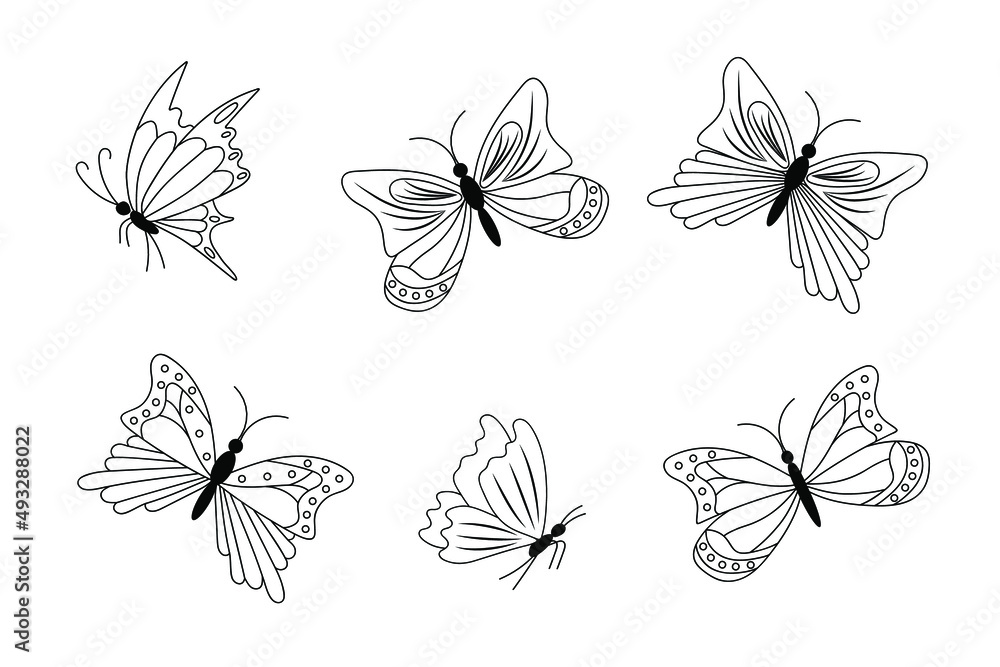set of butterflies black outline Stock Vector | Adobe Stock