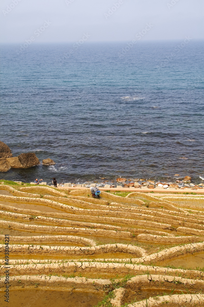 世界農業遺産 石川県輪島 白米千枚田 棚田 田植え風景 Globally Important Agricultural Heritage ...