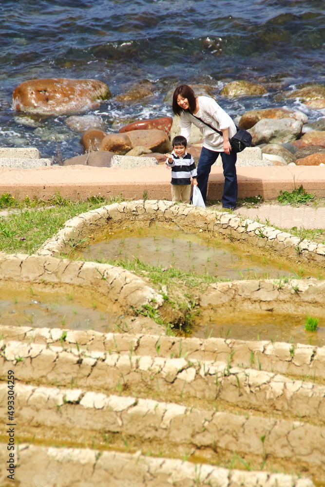 世界農業遺産 石川県輪島 白米千枚田 棚田 田植え風景 Globally Important Agricultural Heritage ...