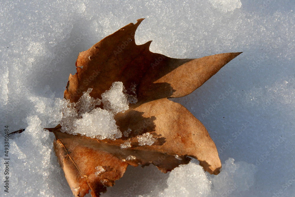 il fait froid Stock Photo | Adobe Stock