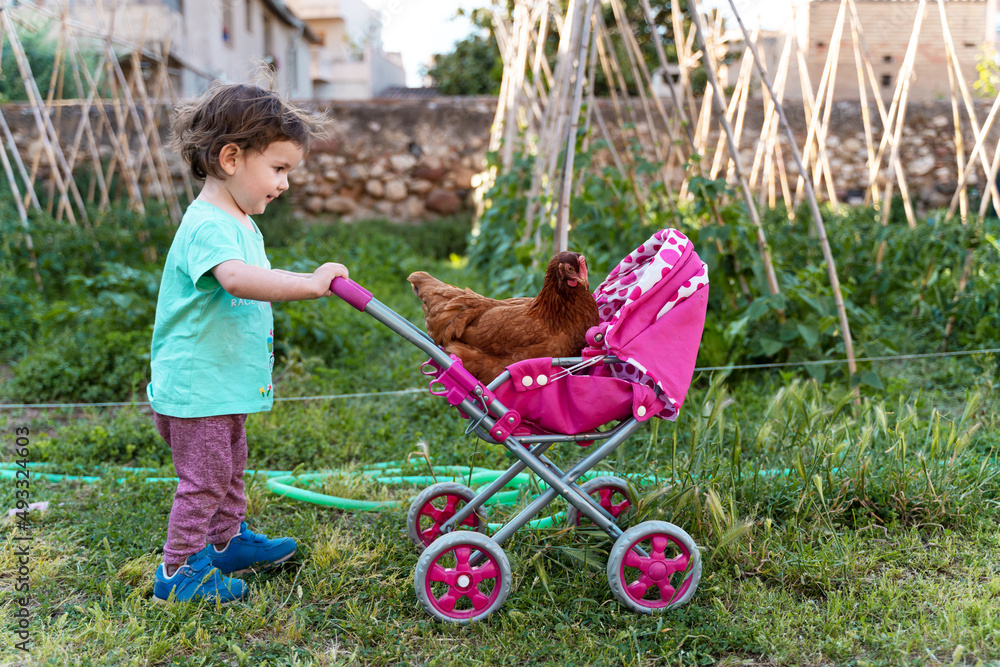 Little girl playing with chicken Stock Photo | Adobe Stock