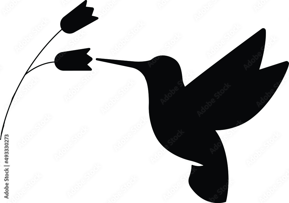 Hummingbird Colibri Silhouettes Hummingbird Colibri Svg Eps Png Stock