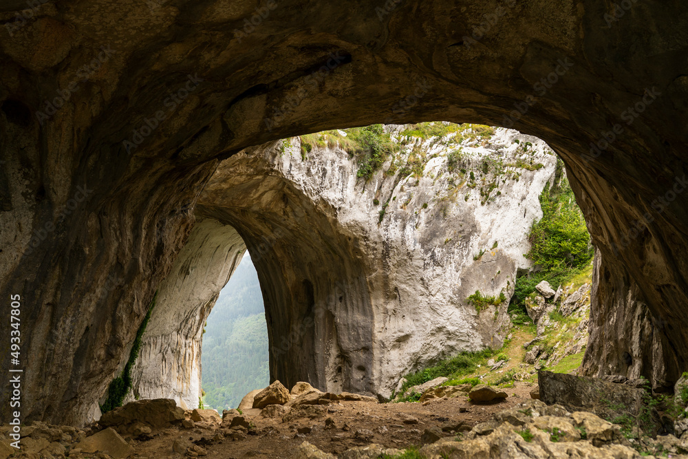 Cave entrance with light and plants Stock Photo | Adobe Stock