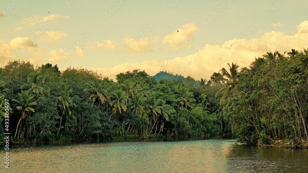 Beautiful landscape view from river above Thiruparappu falls. Amazing ...