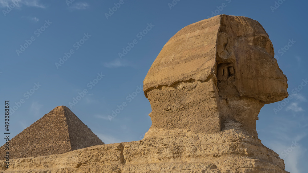 Sculpture of the Great Sphinx. Close-up. The head is visible in profile ...