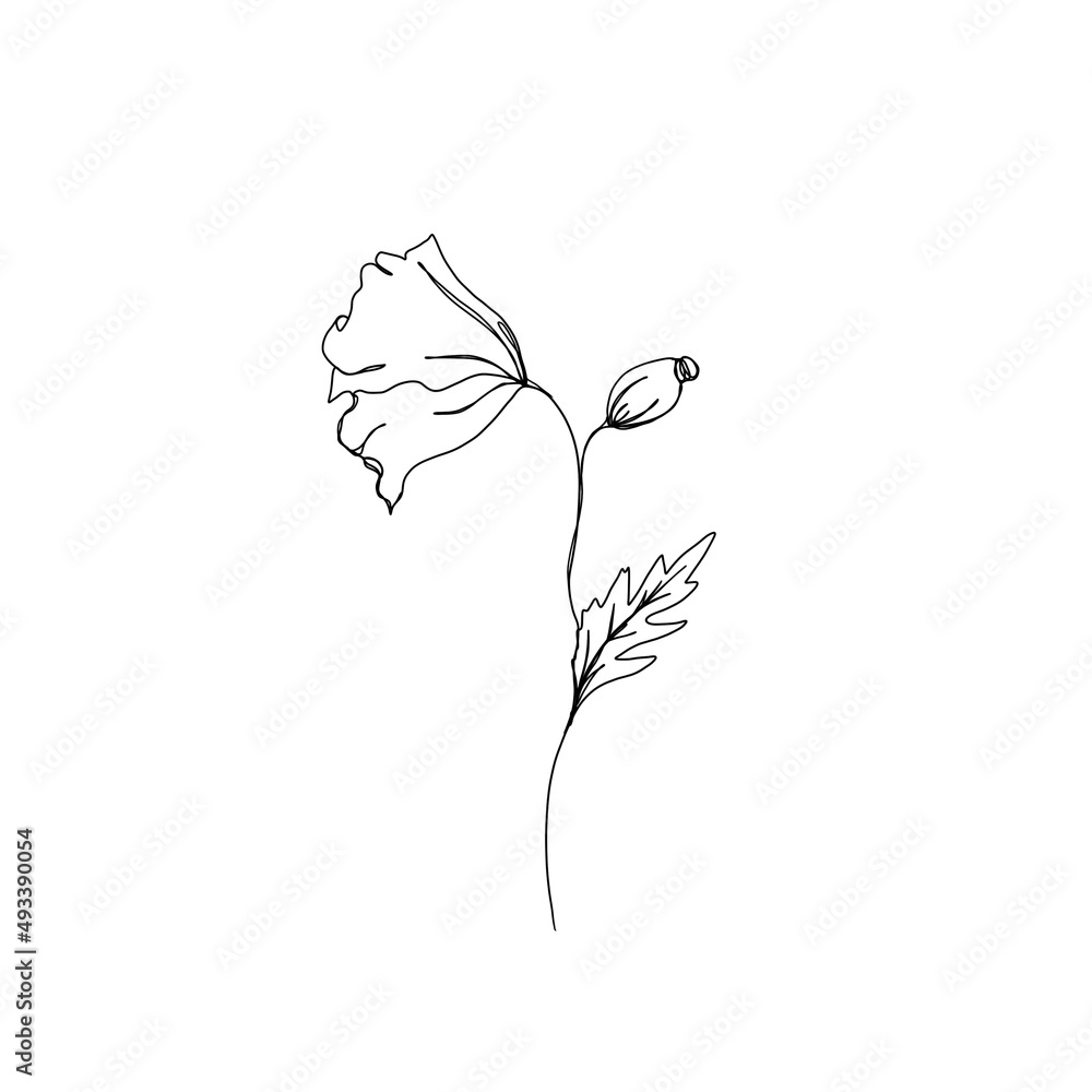Poppy flower continuous line drawing. One line art. minimalism sketch ...