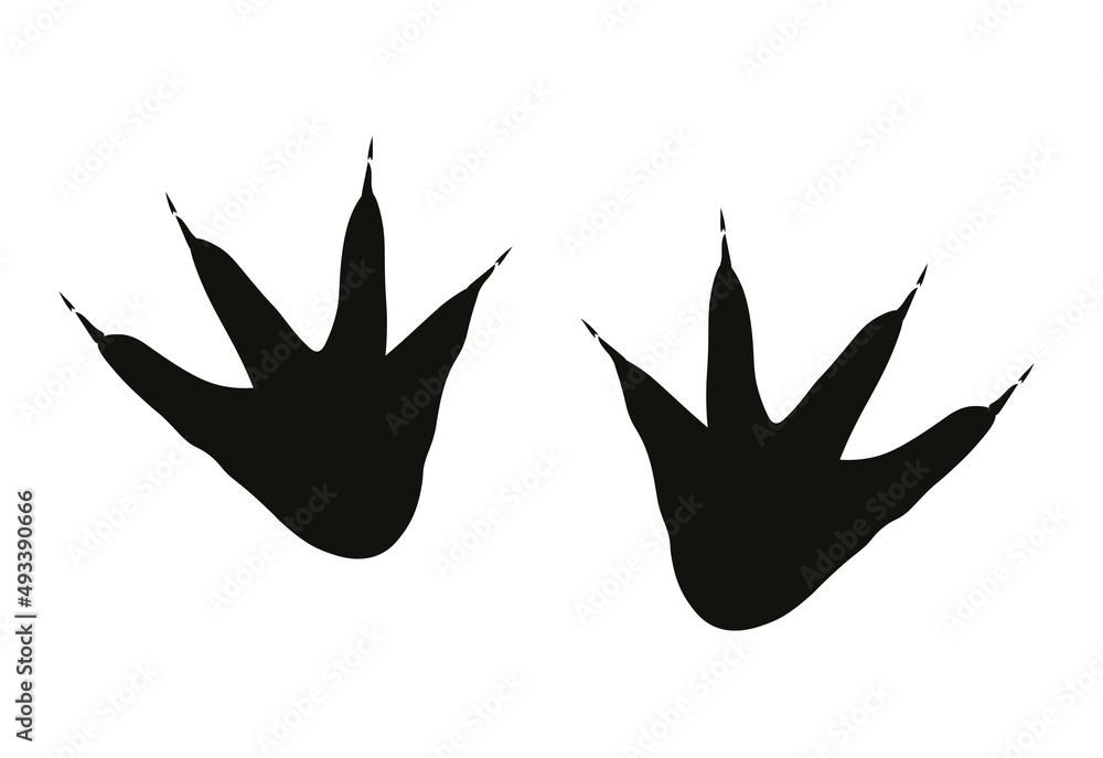 Crocodile foot print with nails. Wild animal paw trace Stock Vector ...