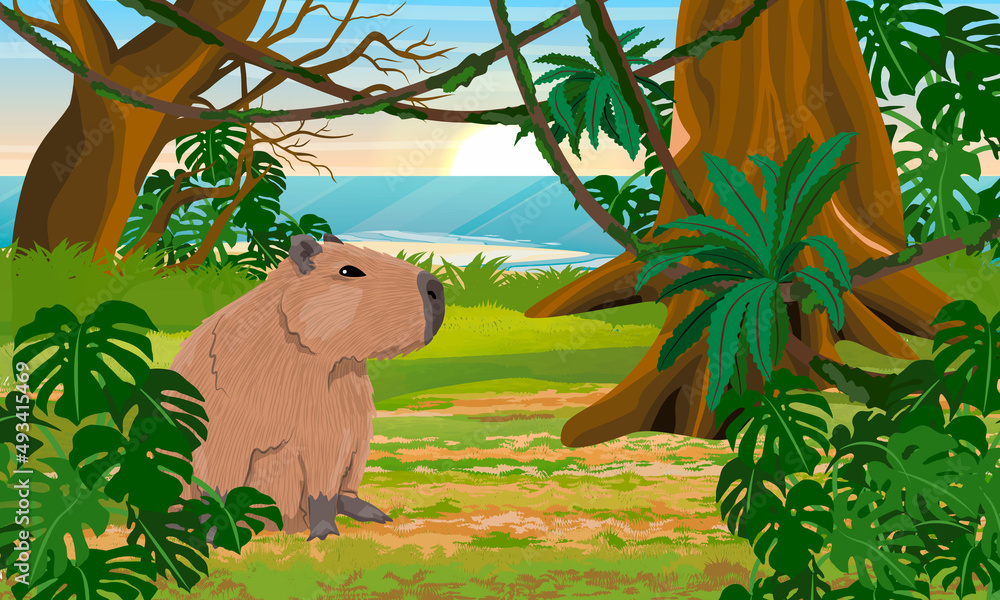 Capybara in the jungle by the ocean. Wild animals of South America ...